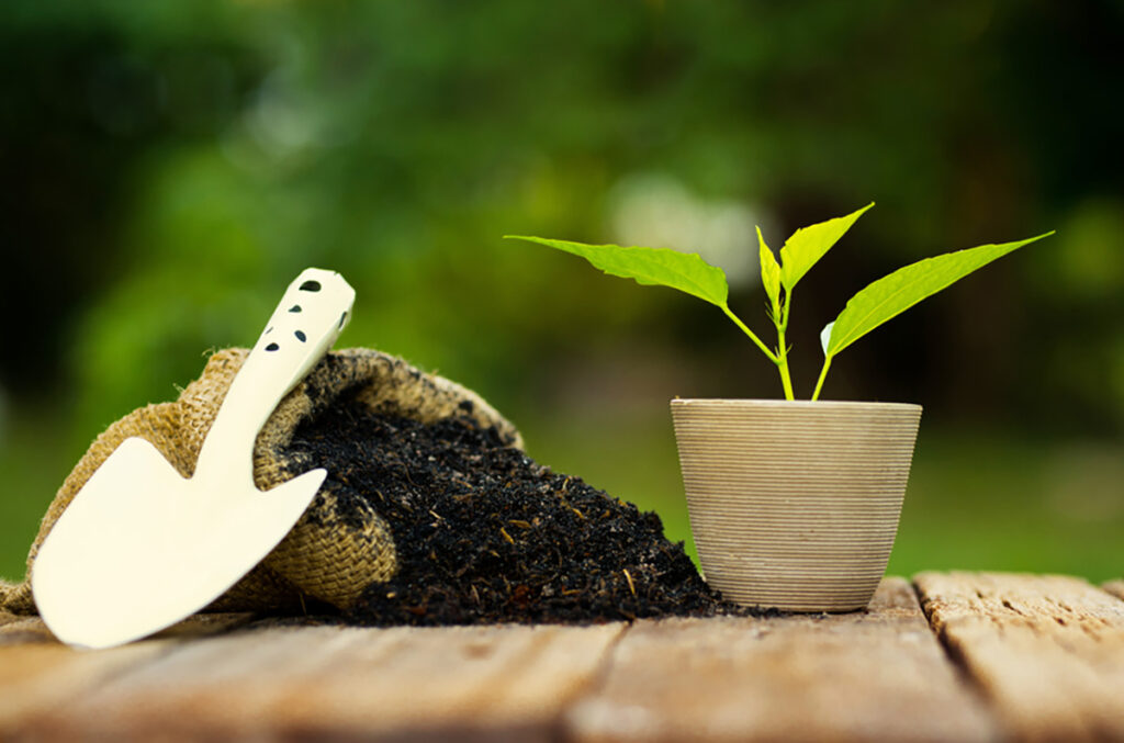 Concime fai da te liquido o solido? Ecco quale scegliere in base alle ...